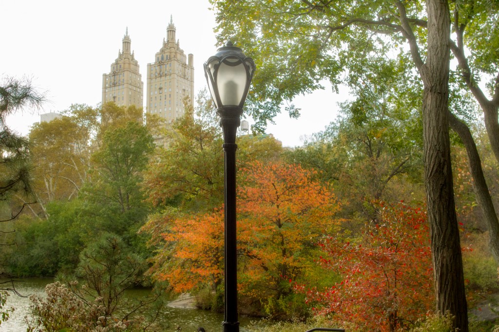 Fall Came and Brought Her Colors – Tip and JAM in Wonderland