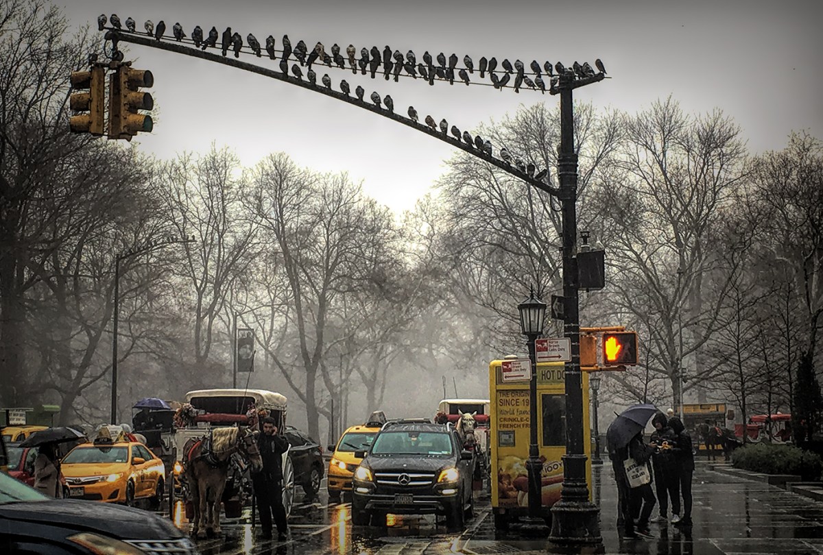 The Seinfeld Blog – Tip and JAM in Wonderland